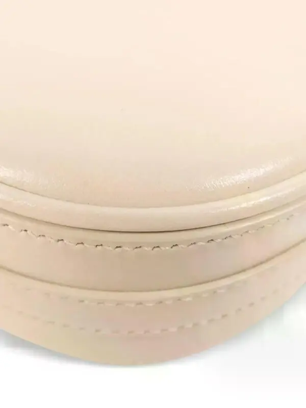 Saint Laurent Le 61 Camera Crossbody Bag
