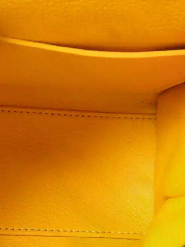 Goyard Saigon Souple Mini Shoulder Bag