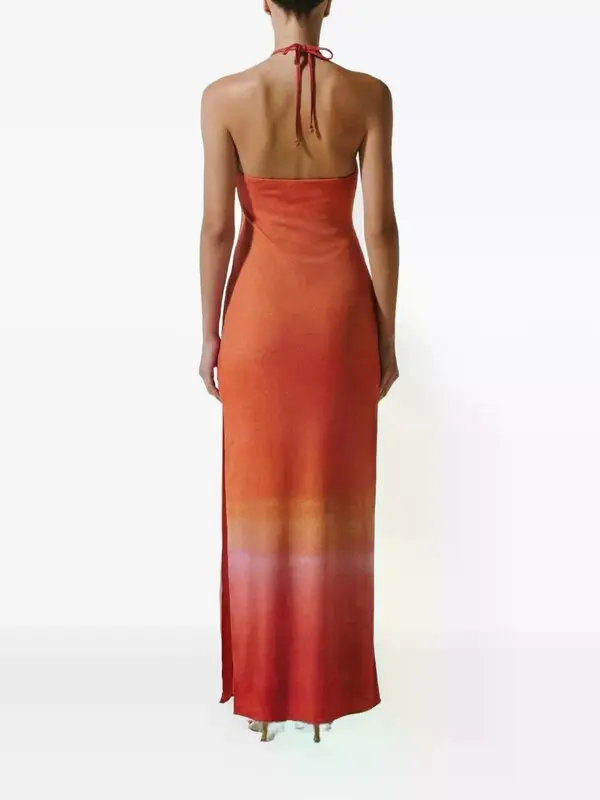 BAOBAB Bari Halterneck Maxi Dress