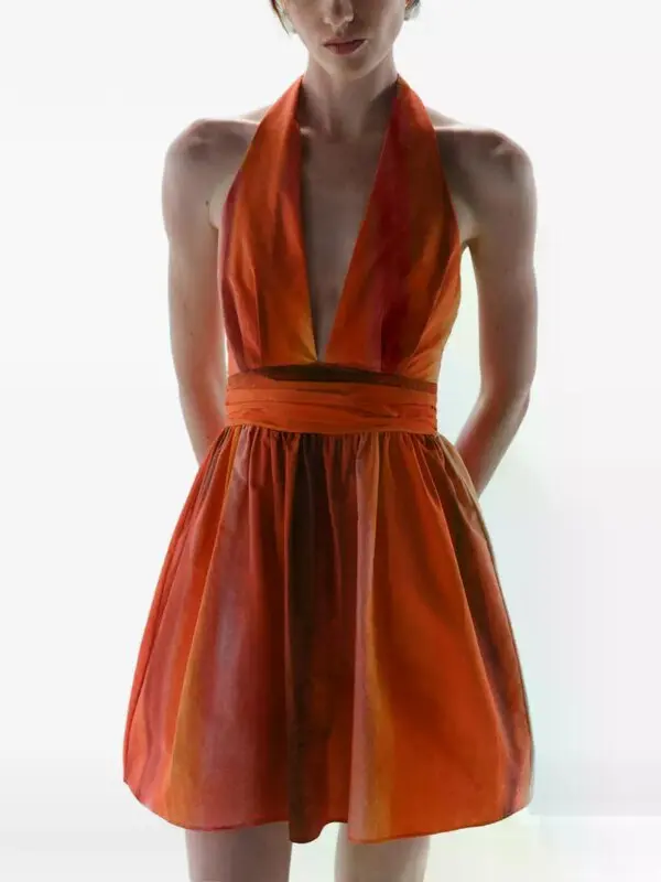 BAOBAB Agustina V-neck Ruched Mini Dress