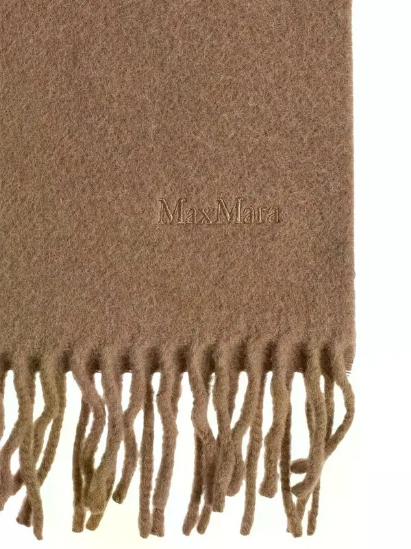 Max Mara Fragore Fringed-edge Scarf