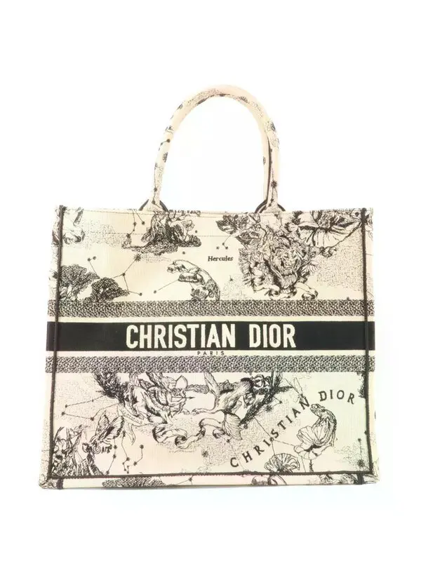 Dior Book Tote Bag - Neutrals