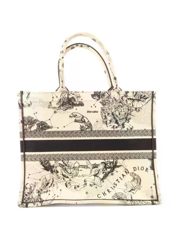 Dior Book Tote Bag - Neutrals
