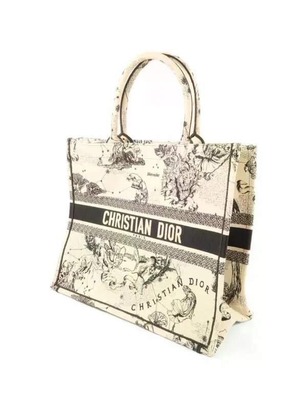 Dior Book Tote Bag - Neutrals