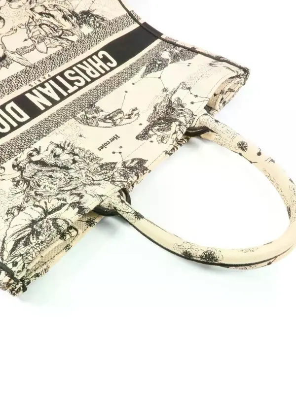 Dior Book Tote Bag - Neutrals