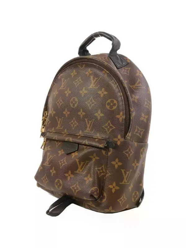 LOUIS VUITTON Palm Springs Backpack - Brown