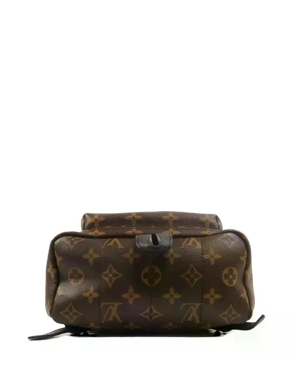 LOUIS VUITTON Palm Springs Backpack - Brown