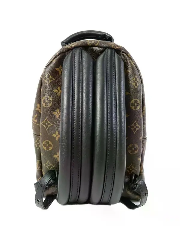 LOUIS VUITTON Palm Springs Backpack - Brown