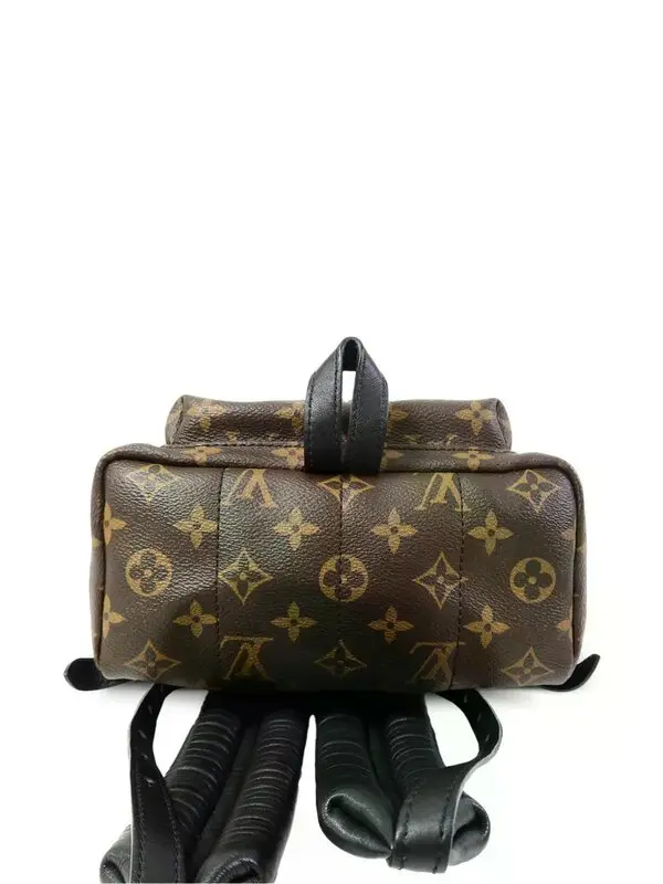 LOUIS VUITTON Palm Springs Backpack - Brown