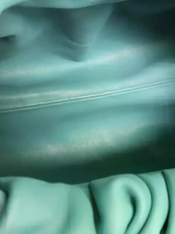 Bottega Veneta The Pouch Tote Bag
