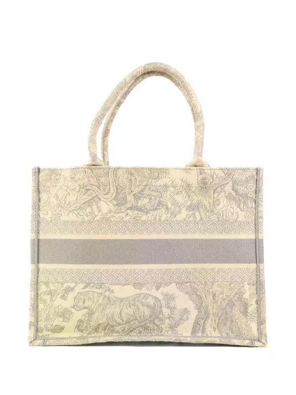 Dior Book Tote Bag