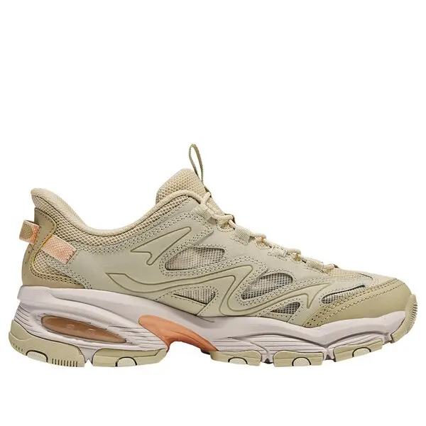 Sketchers Sneakers