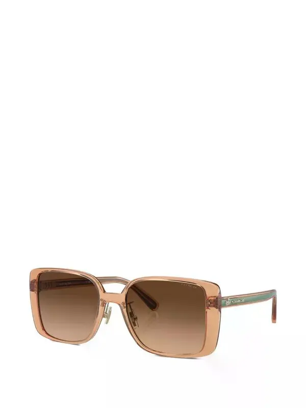 COACH X Disney Square Frame Gradient Sunglasses