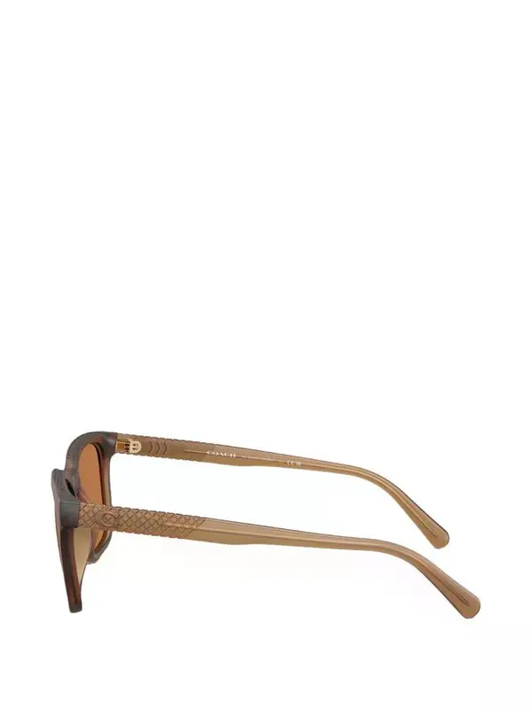 COACH C Hardware Square Frame Sunglasses
