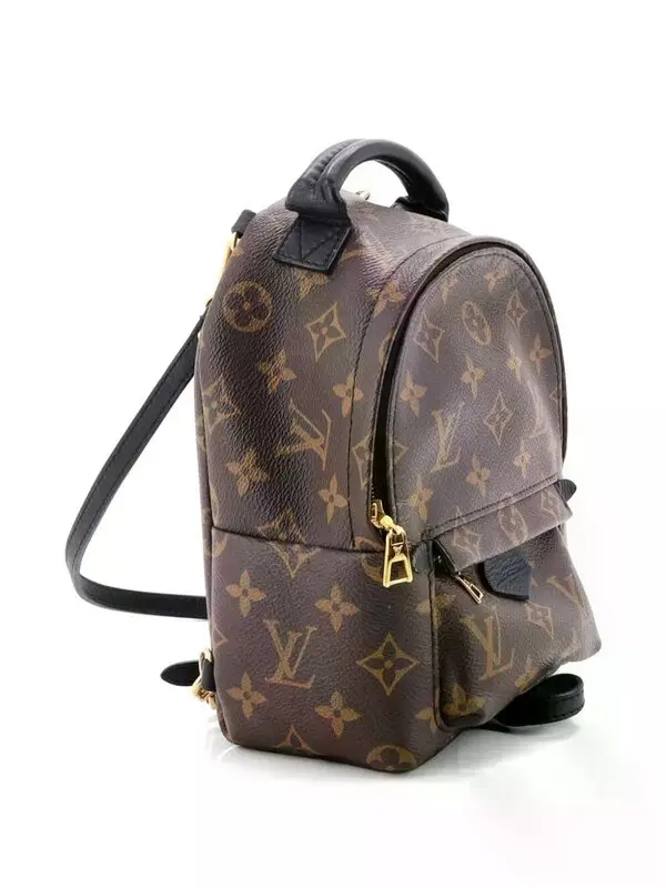LOUIS VUITTON Palm Springs Mini Backpack