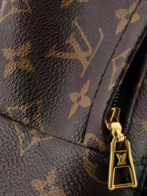 LOUIS VUITTON Palm Springs Mini Backpack
