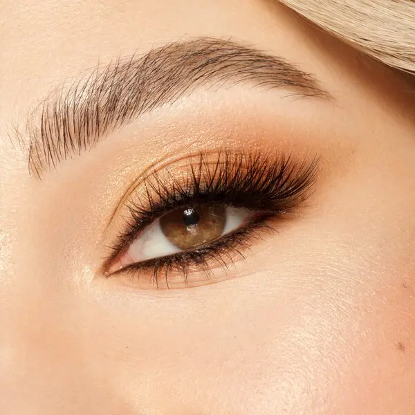 VIEVE The Essential Eyeshadow Palette