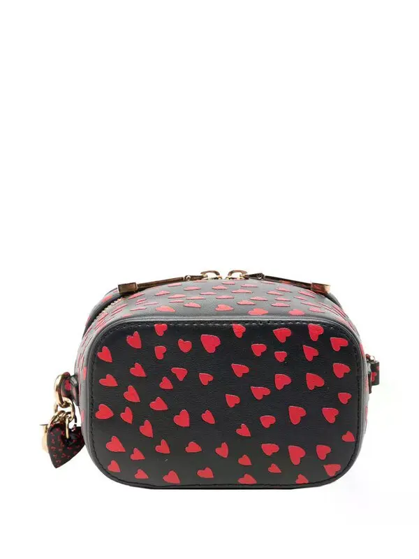 Dior Lambskin Heart Print Lady Case Vanity Bag