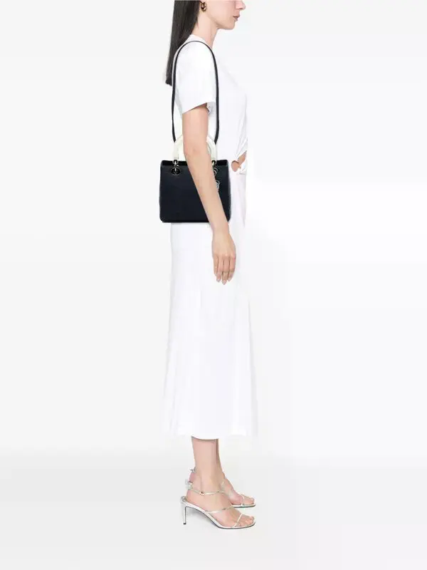 Dior Medium Lady Satchel