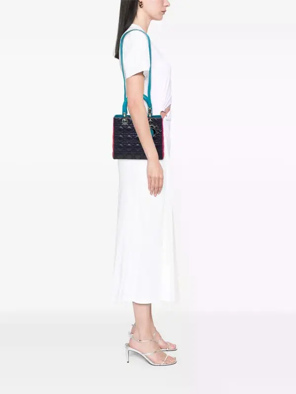 Dior Medium Lady Satchel