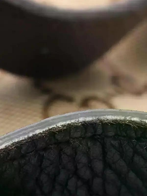 Gucci Gg Canvas Drawstring Backpack