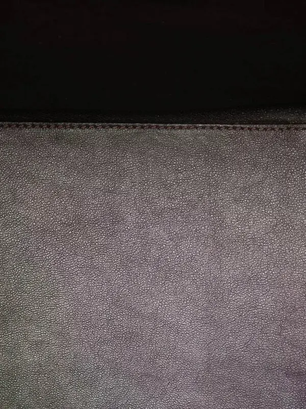 Celine Mini Luggage Tote Bag