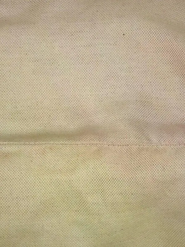 Gucci Gg Canvas Techno Horsebit Hobo Bag