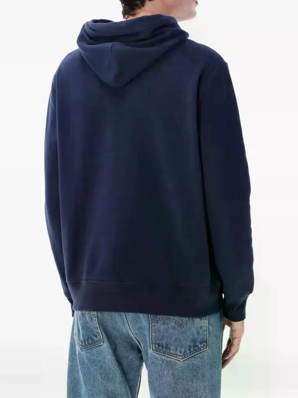Polo Ralph Lauren Polo Bear Graphic Hoodie