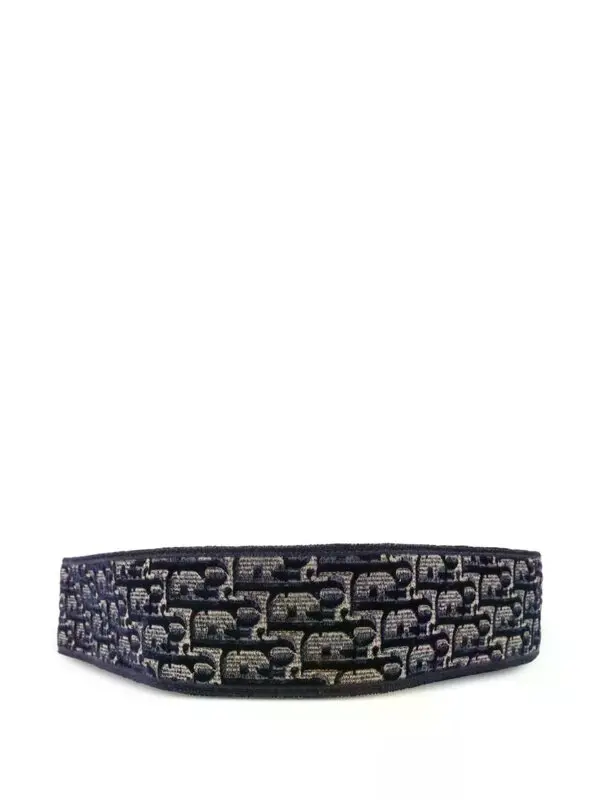 Dior Oblique Canvas Shoulder Strap