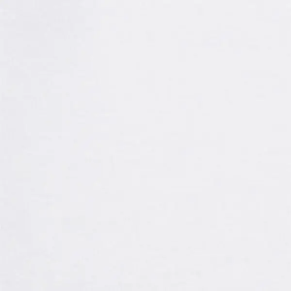 Max Mara Dog Print Crewneck T-shirt - White