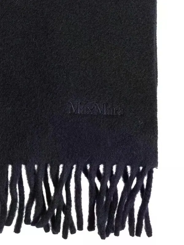 Max Mara Fringed Logo-embroidered Scarf