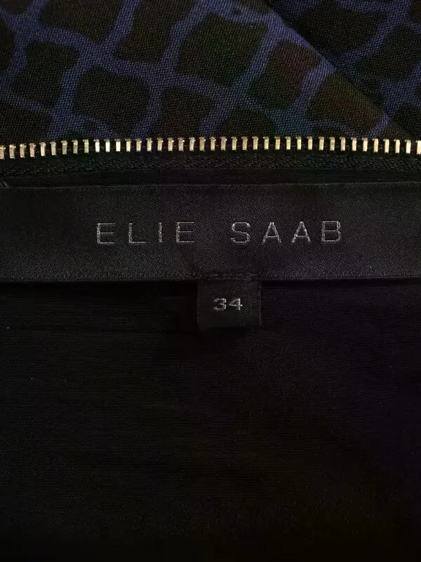 Elie Saab Printed A-line Dress