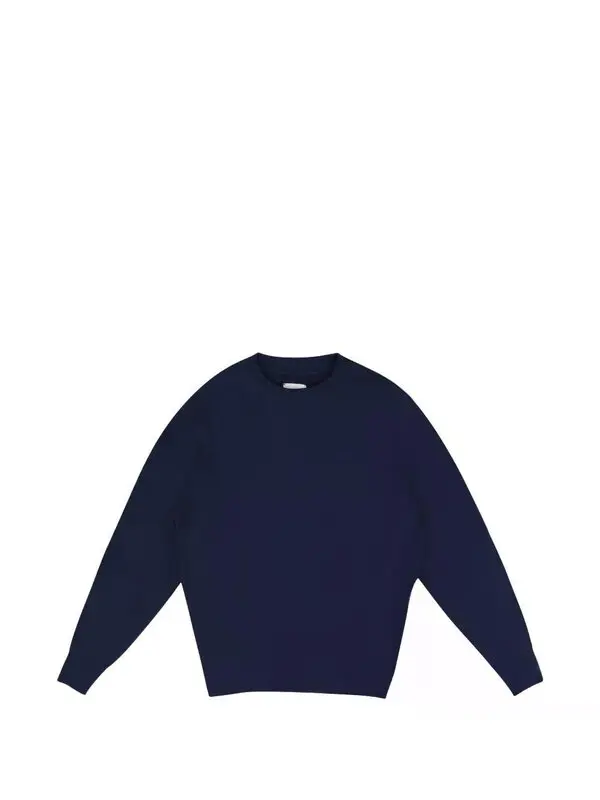Aimé Leon Dore Embroidered Crewneck Sweater - Blue