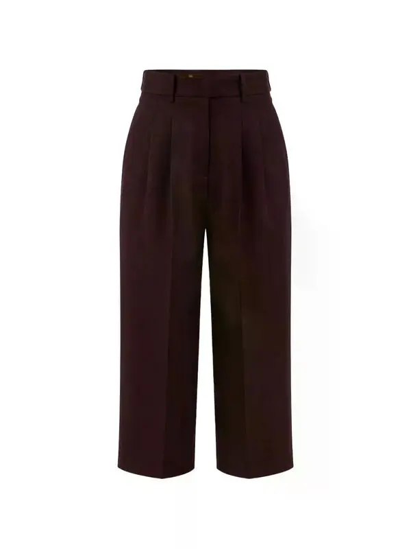 Elisabetta Franchi Pleated Wide-leg Trousers - Brown