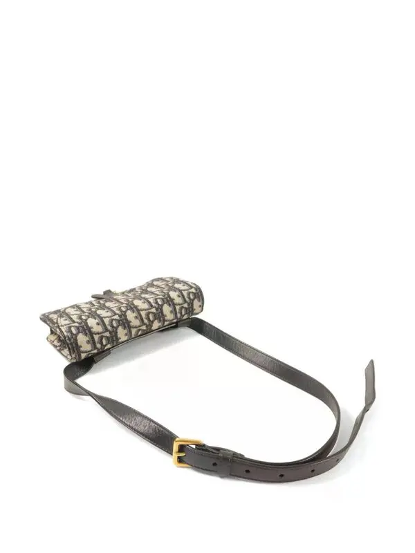 Dior Saddle Oblique Belt Bag - Neutrals