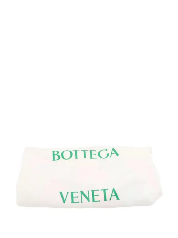 Bottega Veneta Small Raffia The Point Triangle Satchel