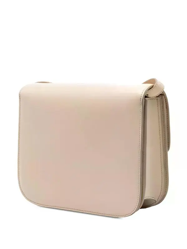 Celine Medium Calfskin Classic Box Crossbody Bag - Neutrals