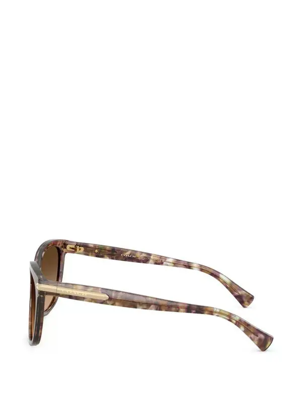 COACH Tortoiseshell Cat-eye Sunglasses - Brown
