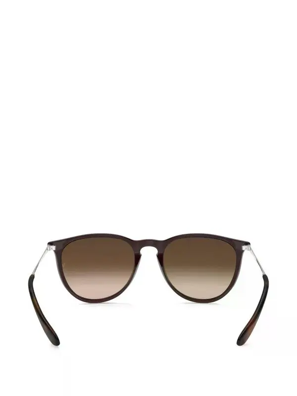 Ray-ban Erika Classic Round-frame Sunglasses
