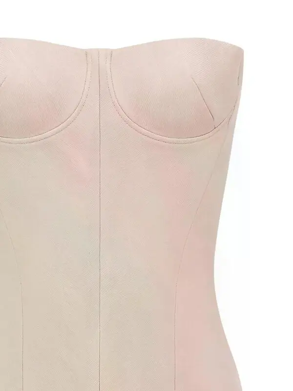 Alex Perry Longline Corset Top