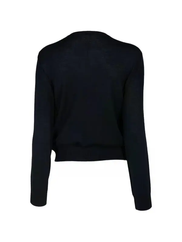 Loewe Buttoned Cardigan - Blue