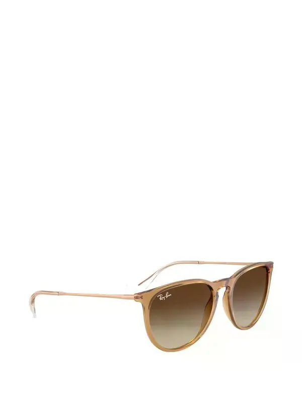 Ray-ban Erika Classic Sunglasses