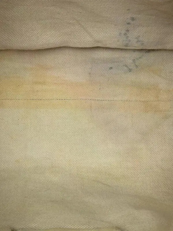 Gucci Gg Canvas Web Tote Bag