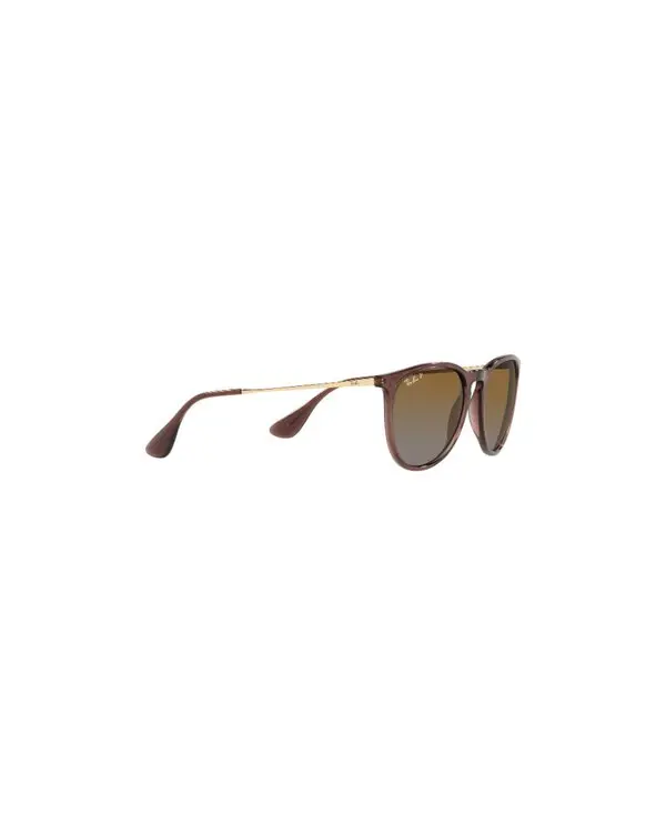Ray-ban Erika Classic Sunglasses