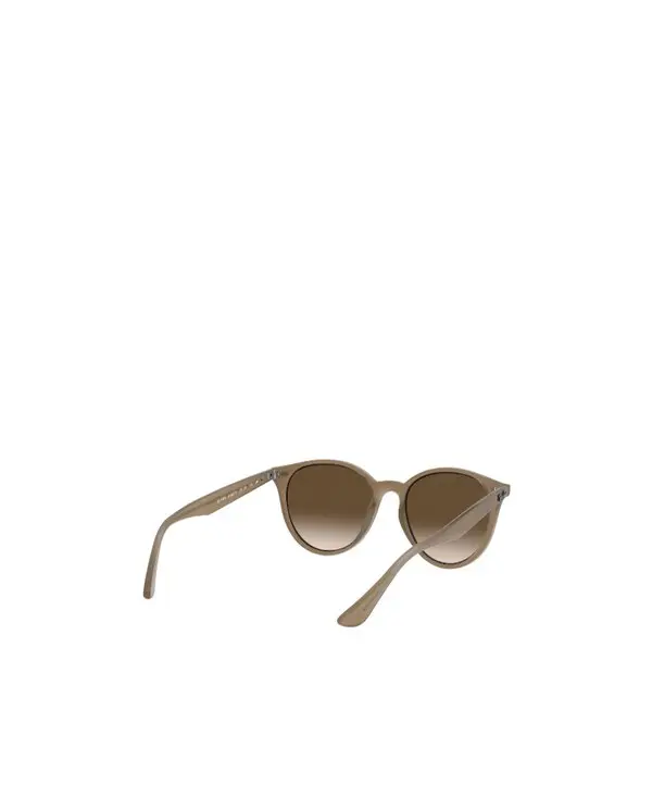 Ray-ban Rb4305 Round Frame Sunglasses