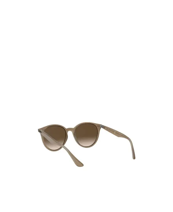 Ray-ban Rb4305 Round Frame Sunglasses