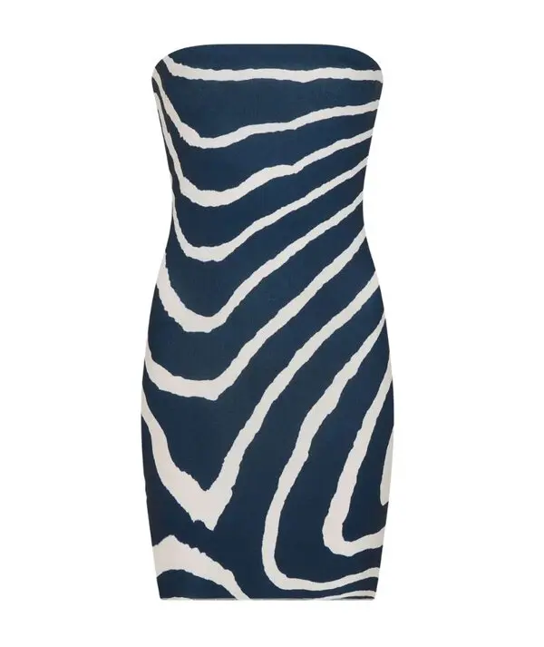 RAT & BOA Amarae Zebra Print Tube Dress