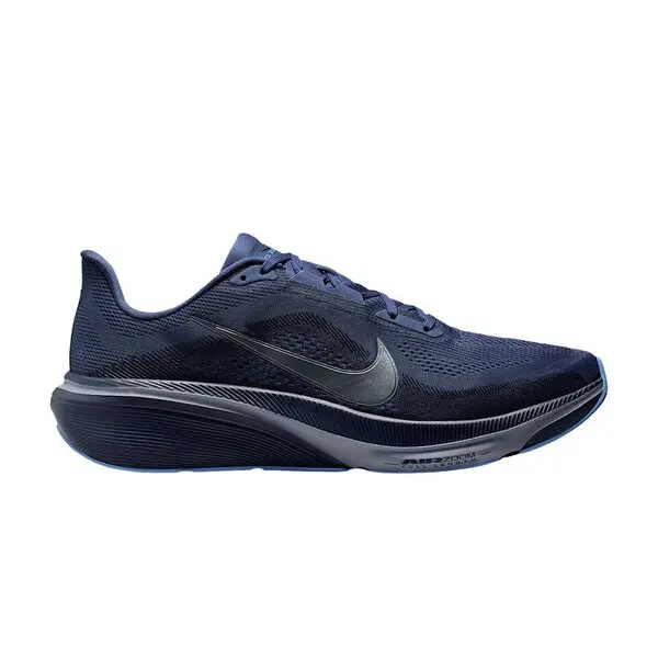Nike Pegasus 42 "diffused