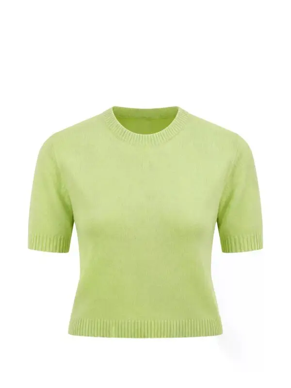 Autumn Cashmere Short Sleeve Crew Neck Sweater - Green
