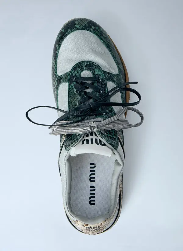 Miu Miu Lace-up Sneakers With Snakeskin Accents